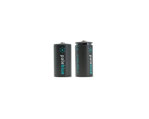 Pale Blue Earth Pale Blue Lithium Ion Rechargeable D Batteries 2pk ...