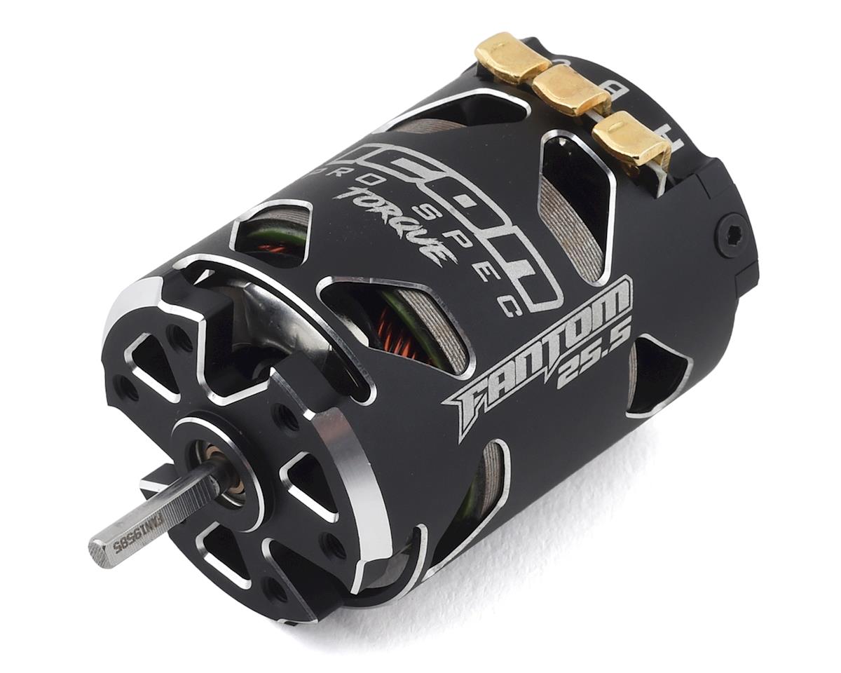 Fantom ICON Torque Works Edition Spec Brushless Motor (25.5T ...