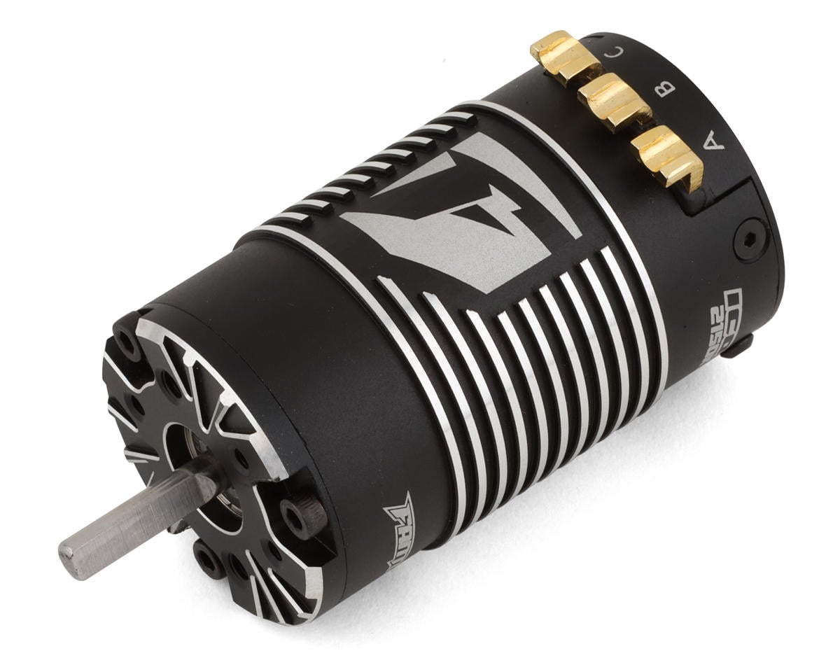Fantom ICON Pro 1/8 Brushless Competition Buggy Motor (2150kV ...
