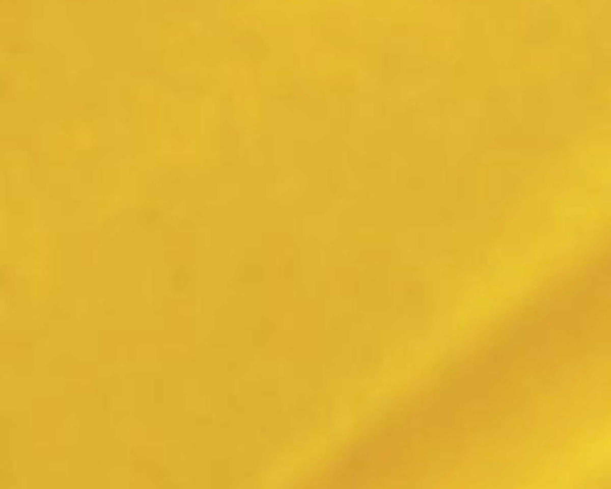 Mission Models Gold Acrylic Hobby Paint (1oz) [MIOMMC-003] - HobbyTown