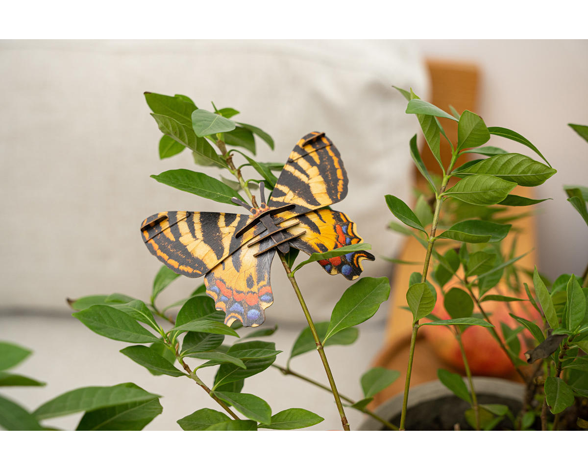 Make Bug Luehdorfia Butterfly 3D Puzzle Bring Nature Home [MKBC0006 ...