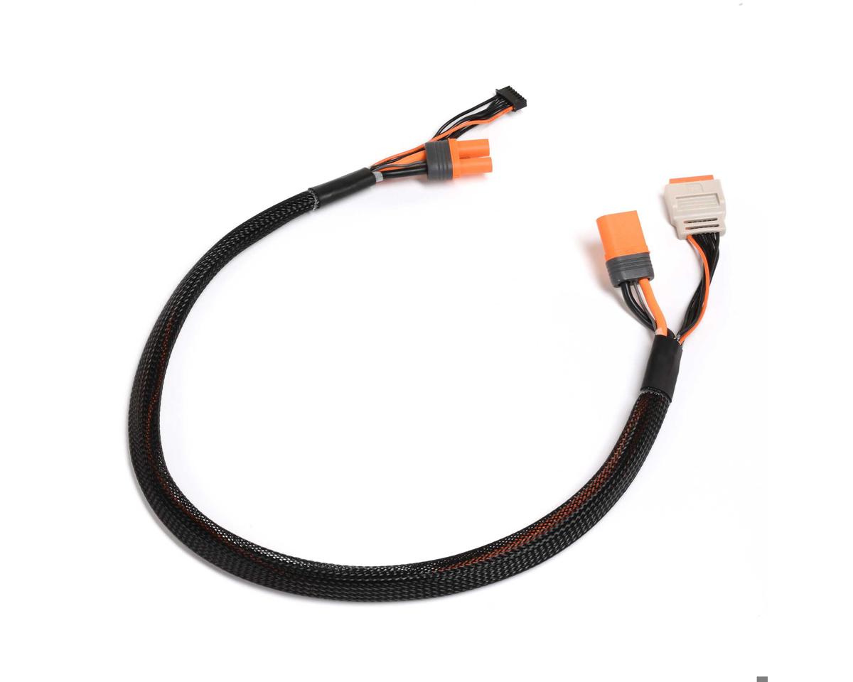 Spektrum RC Charge Lead with Balance Extension 24" IC5, 2-6S [SPMX-1012 ...