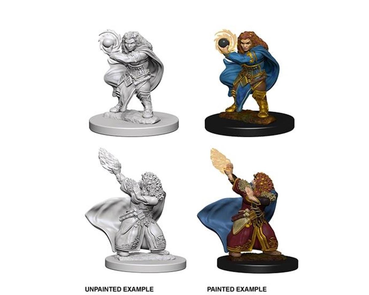 Wiz Kids WizKids D+D NMU DWARF FEMALE WIZARD [WZK72621] - HobbyTown