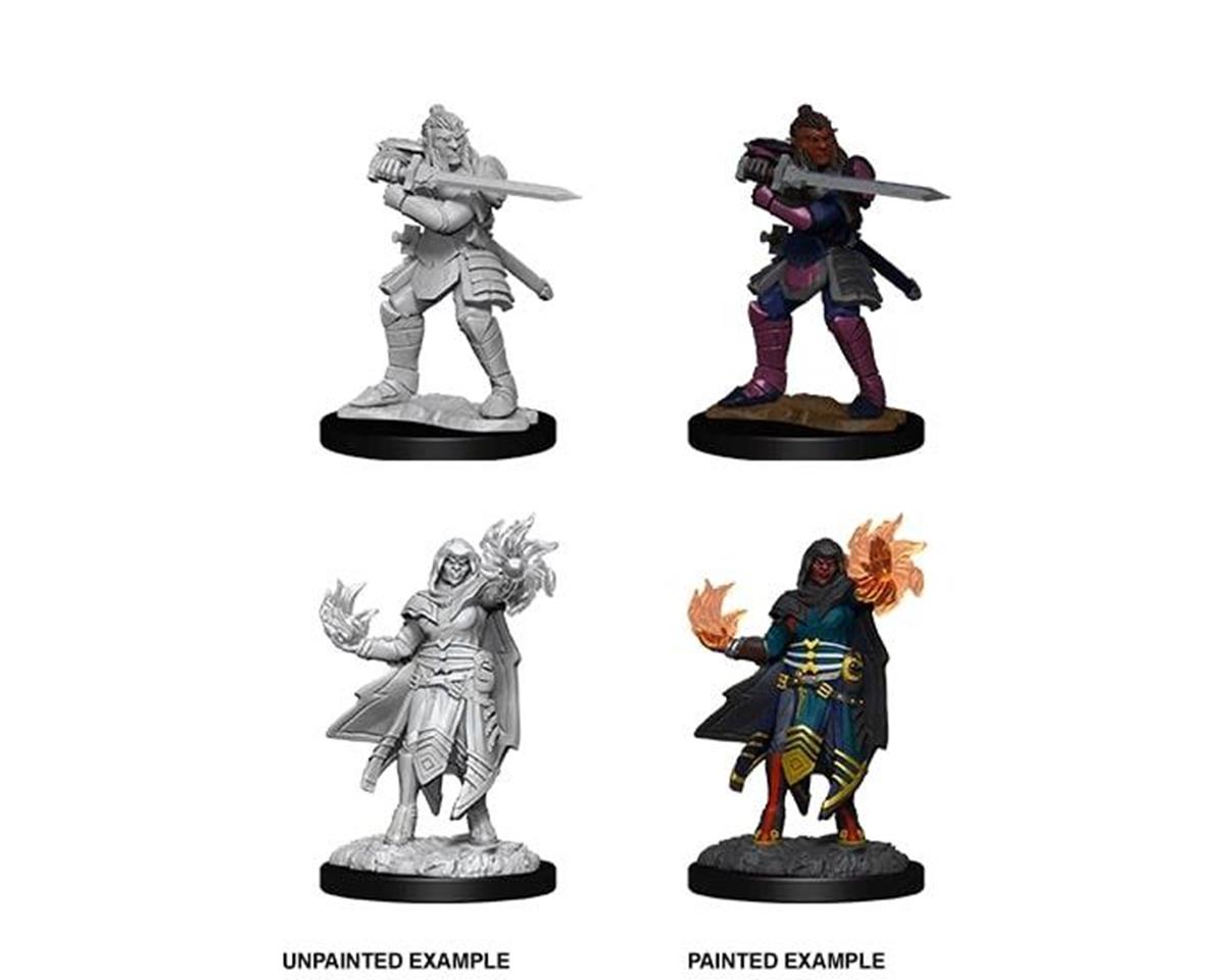 Wiz Kids WizKids D+D FIGHTER MALE/WIZARD FEMALE 7/21 [WZK90310] - HobbyTown